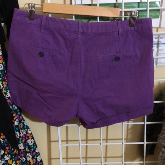 Zara | Shorts | Zara Basic 8 Purple Chino | Poshmark